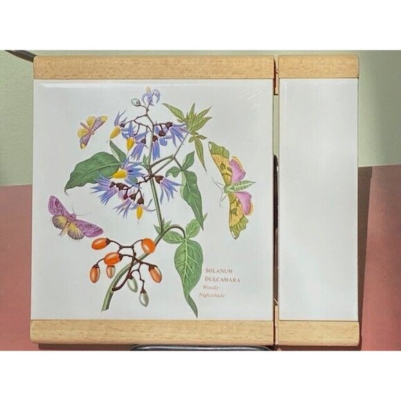 Portmeirion | Kitchen | Portmeirion Botanic Garden Treasure Solanum ...